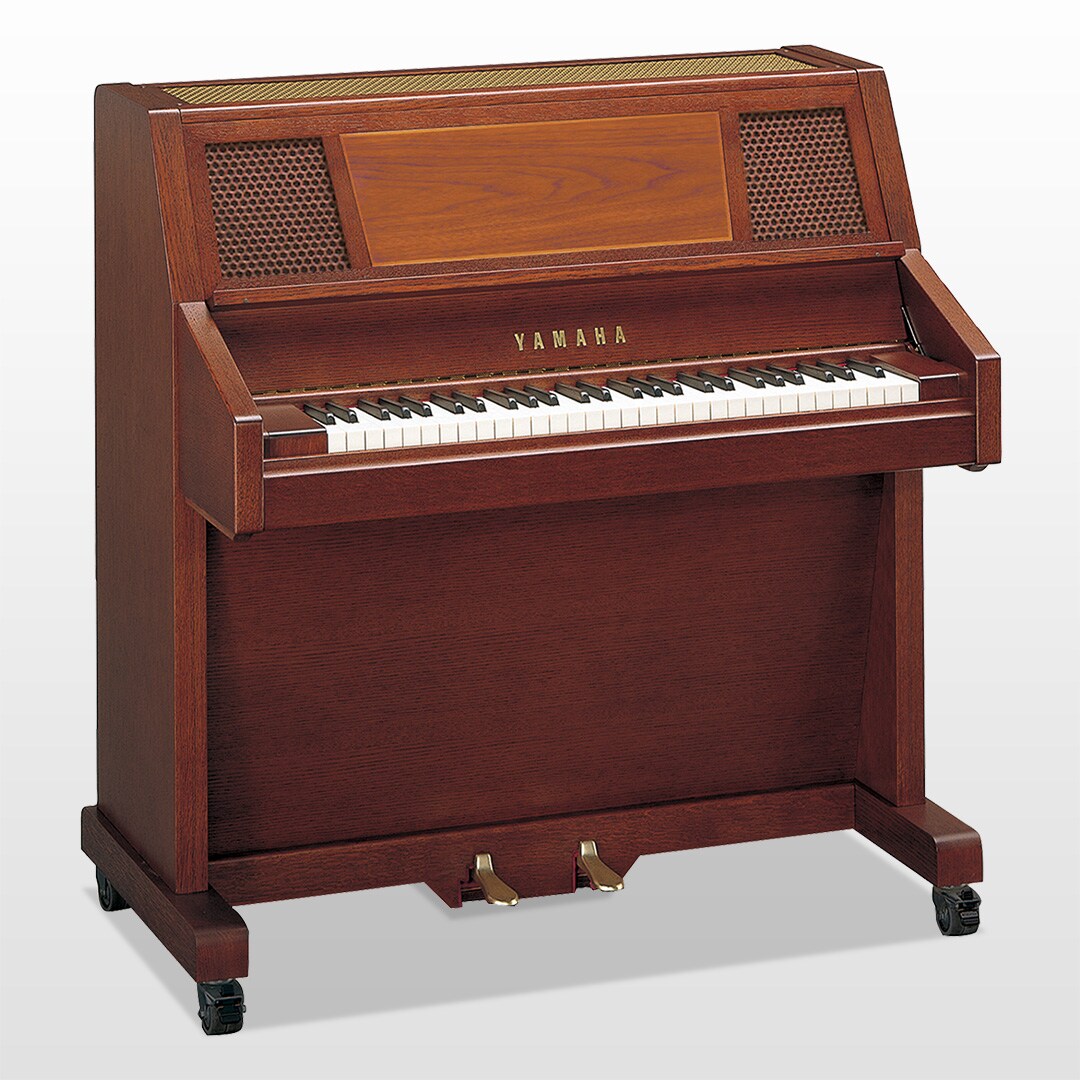 CEL-56PGL - Especificaciones - Otros Instrumentos de Teclado - Productos - Teclados portátiles ...